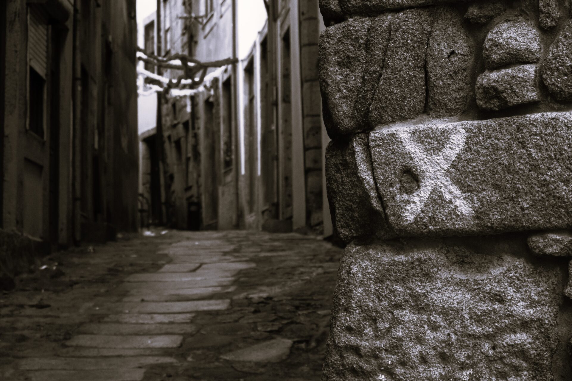 Foreign Exchange Specialists for Business | Smart Currency Business